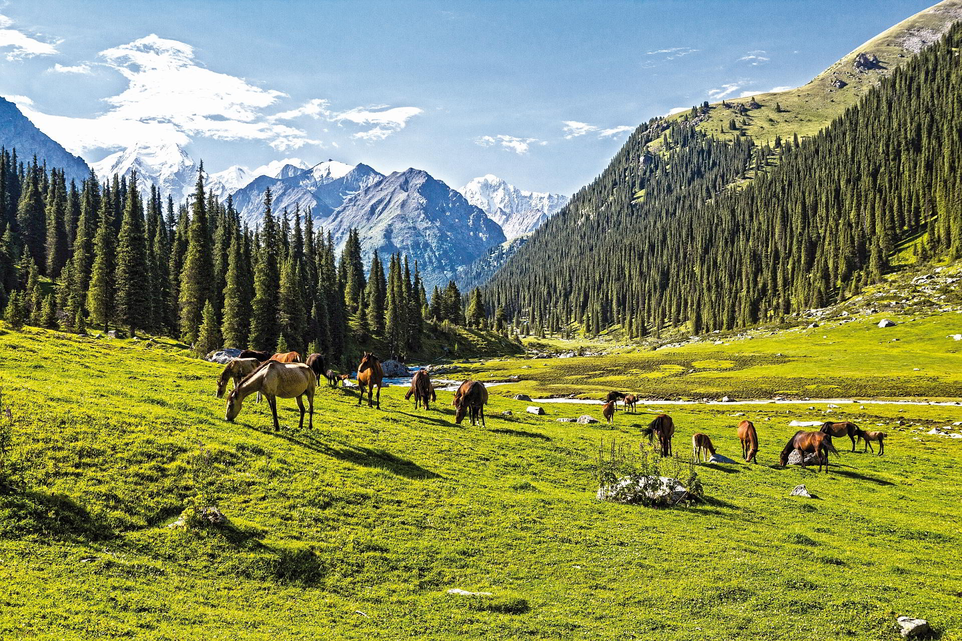 Kirgistan Trekking - Himmelsgebirge - Tien Shan - Pamir | DAKS › DAKS